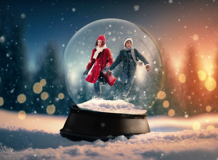 Watch The Snow Sister | Netflix Official Site