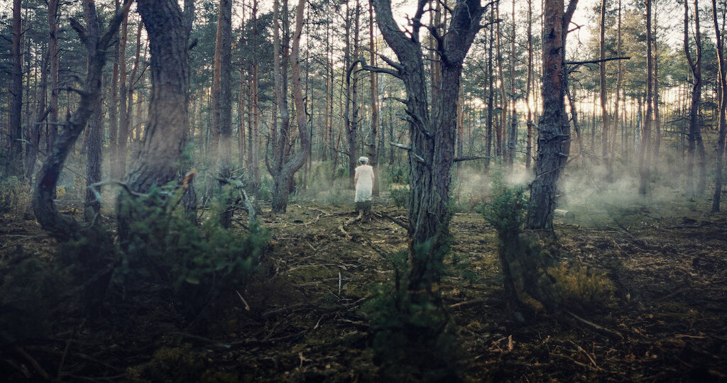 Watch The Mire | Netflix Official Site