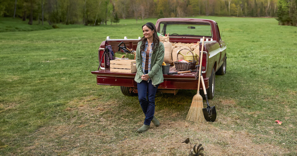 Watch Swing Into Romance | Netflix