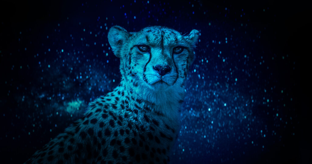 Watch Our Universe | Netflix Official Site