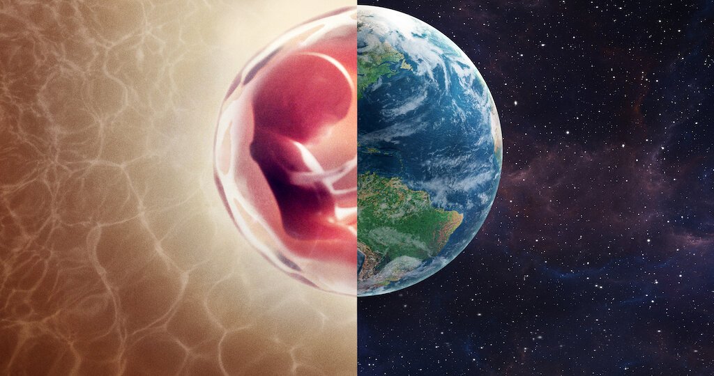Watch Human: The World Within | Netflix