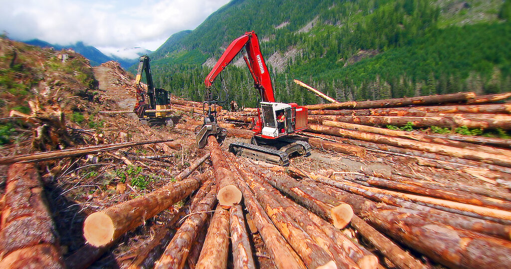 Watch Big Timber | Netflix Official Site