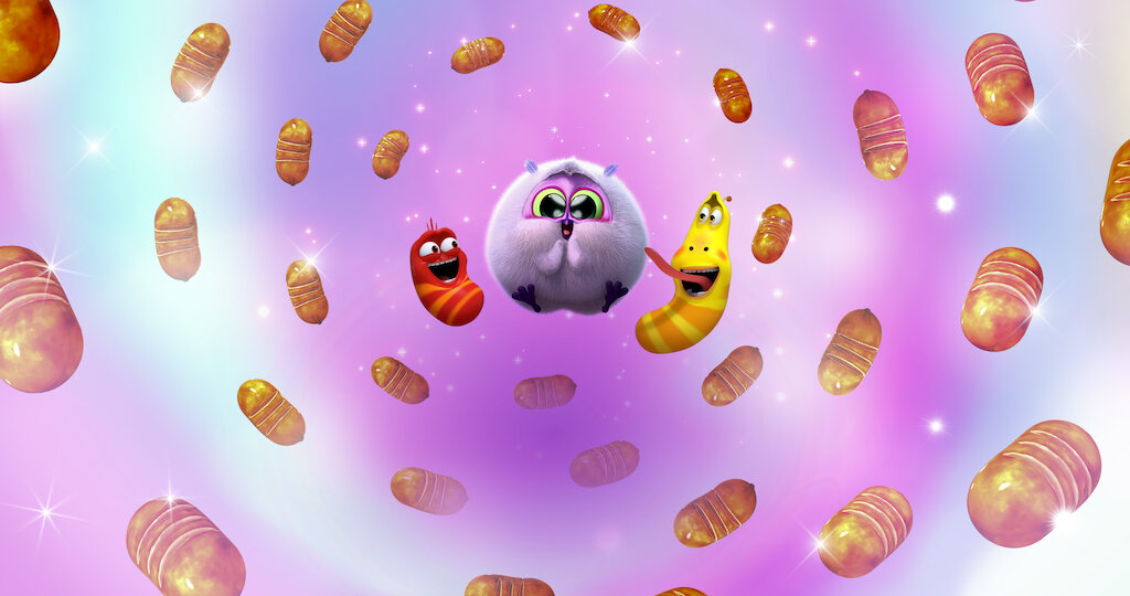 Watch Larva Family | Netflix Official Site