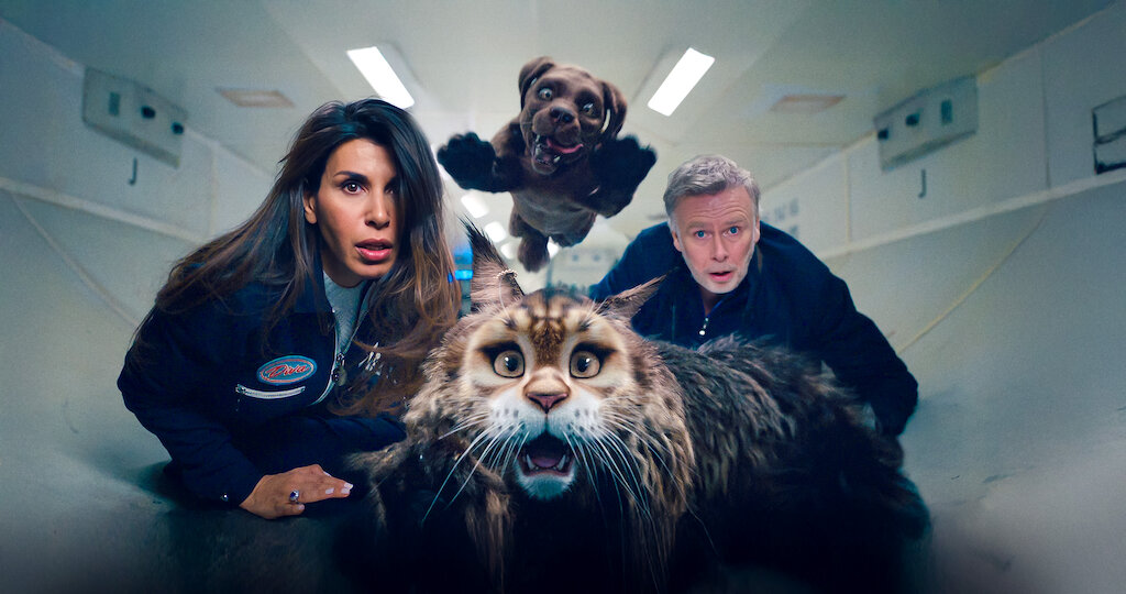 Watch Cat & Dog | Netflix
