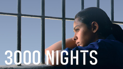 Watch The Matchmaker | Netflix Official Site