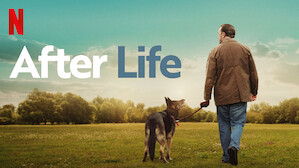 Best TV Comedy Shows | Netflix Official Site