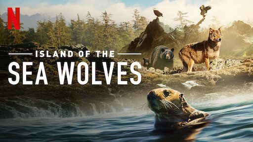 Watch Surviving Paradise: A Family Tale | Netflix Official Site