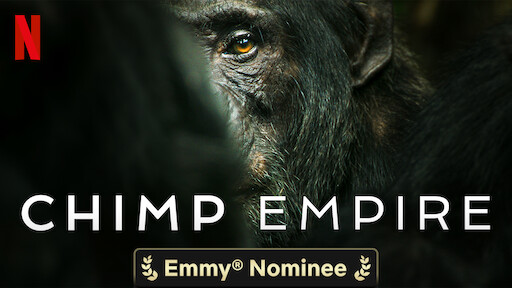 Watch The Ivory Game | Netflix Official Site