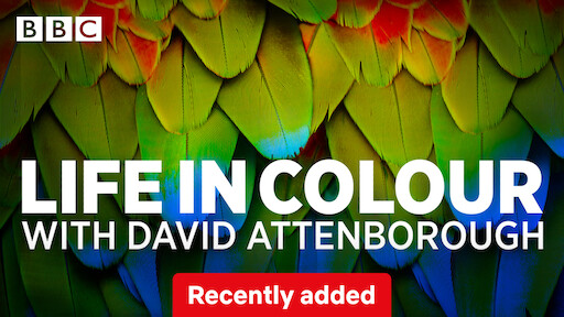 Watch Chasing Coral | Netflix Official Site